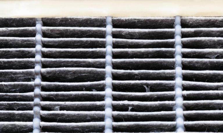 How To Clean a HEPA Filter? - IndoorClime