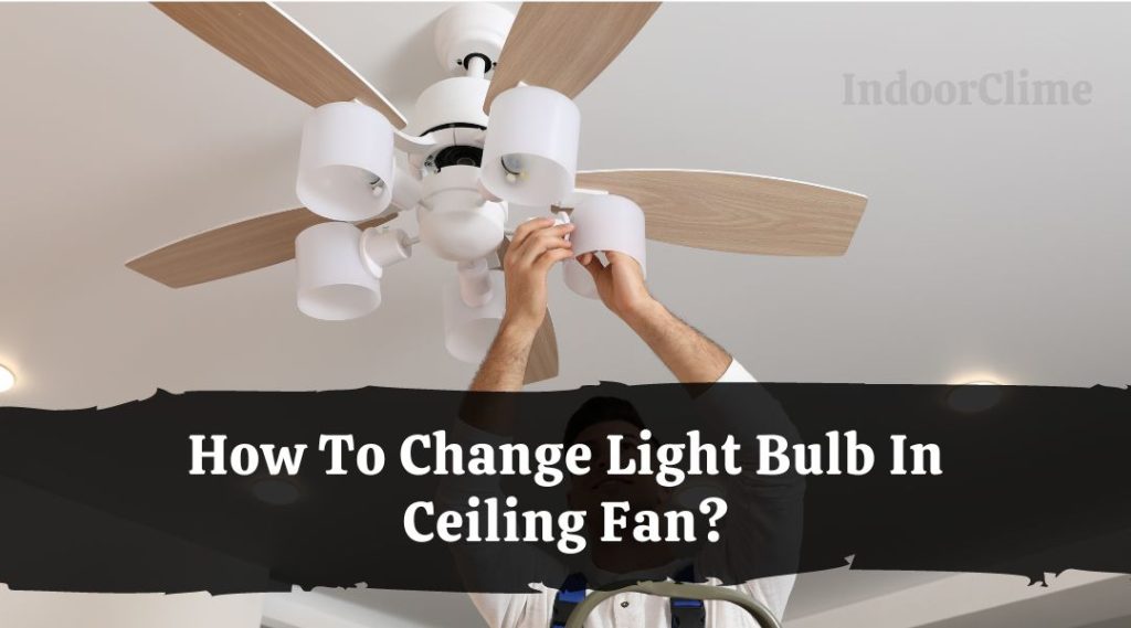 How To Change Light Bulb In Ceiling Fan? - IndoorClime