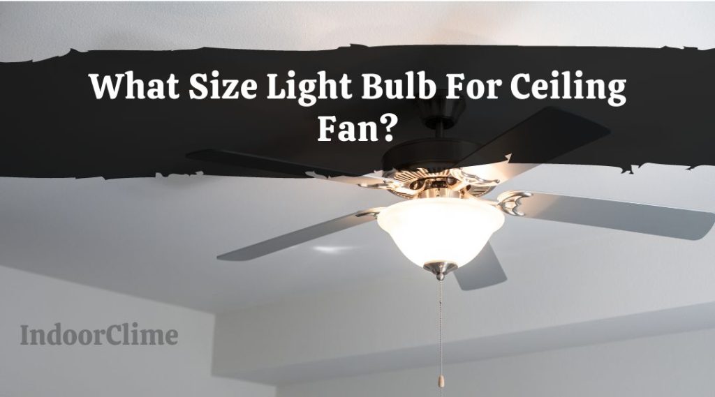 What Size Light Bulb For Ceiling Fan? - IndoorClime