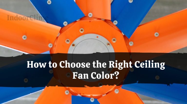 How to Choose the Right Ceiling Fan Color? - IndoorClime