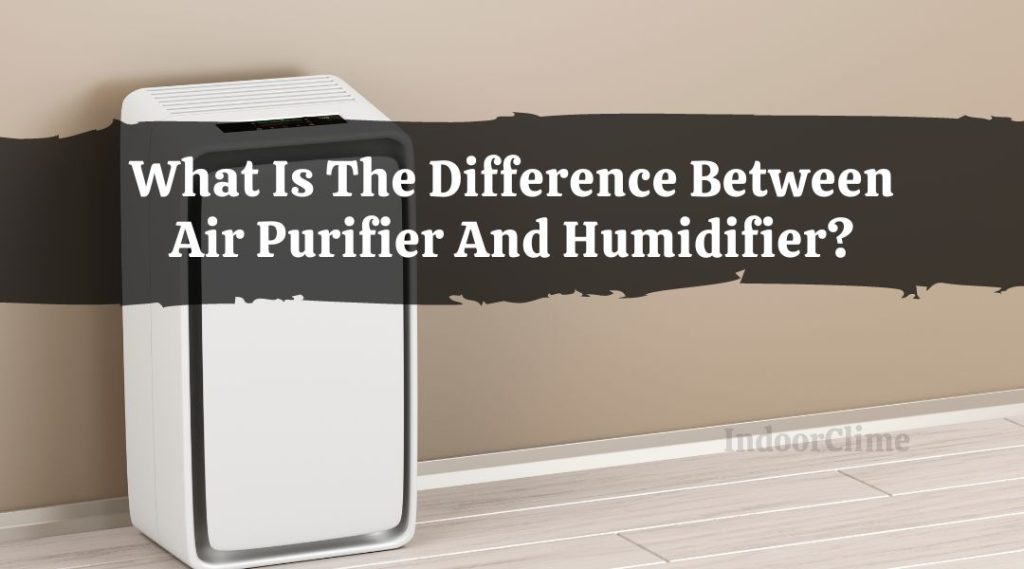 What Is The Difference Between Air Purifier And Humidifier? - IndoorClime