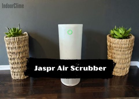 Honest Review of the Jaspr Air Scrubber After 1 Month of Use - IndoorClime